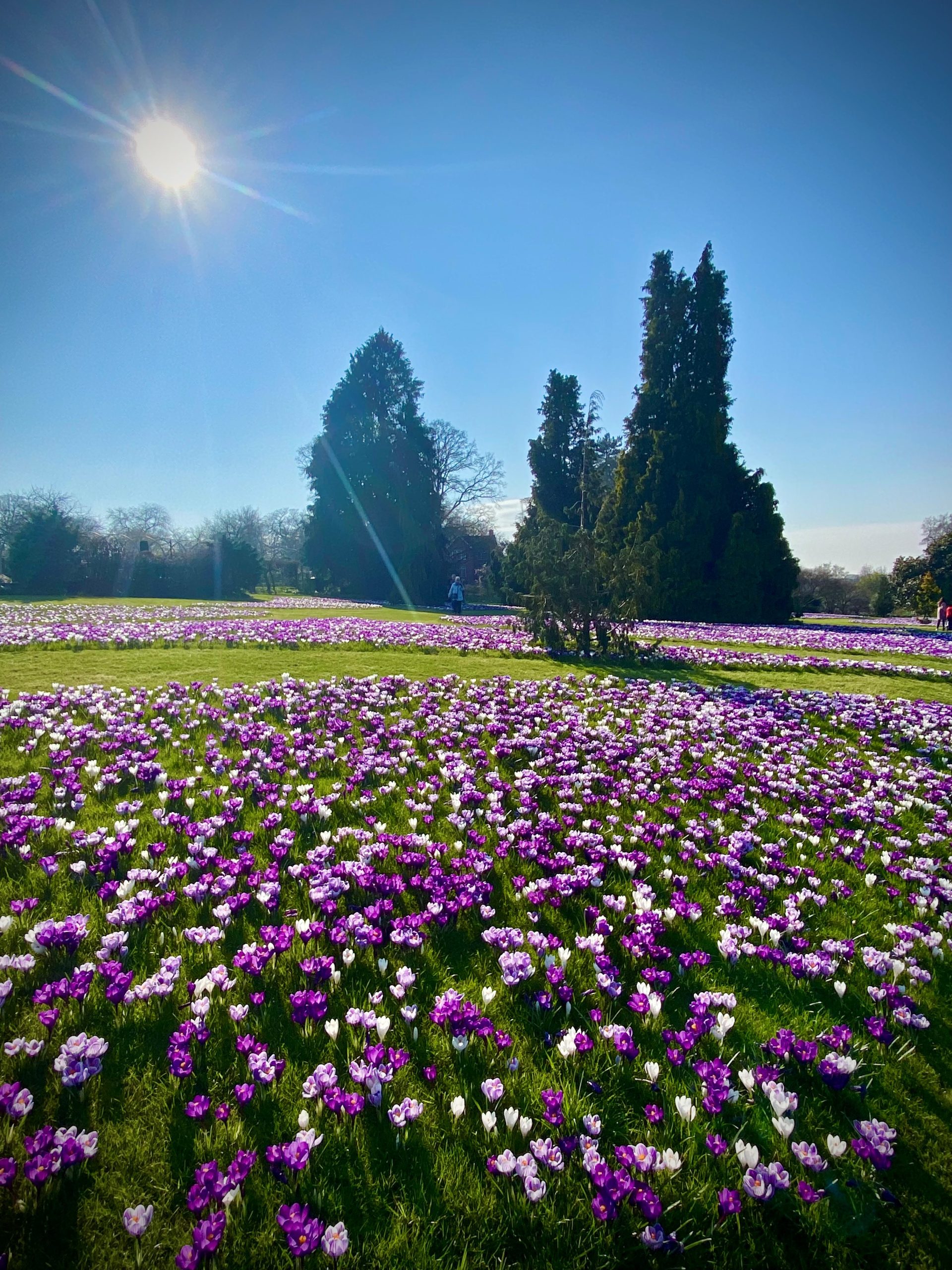 Pottering with Pottage: Wisley, the Flagship Garden of the RHS, by ...
